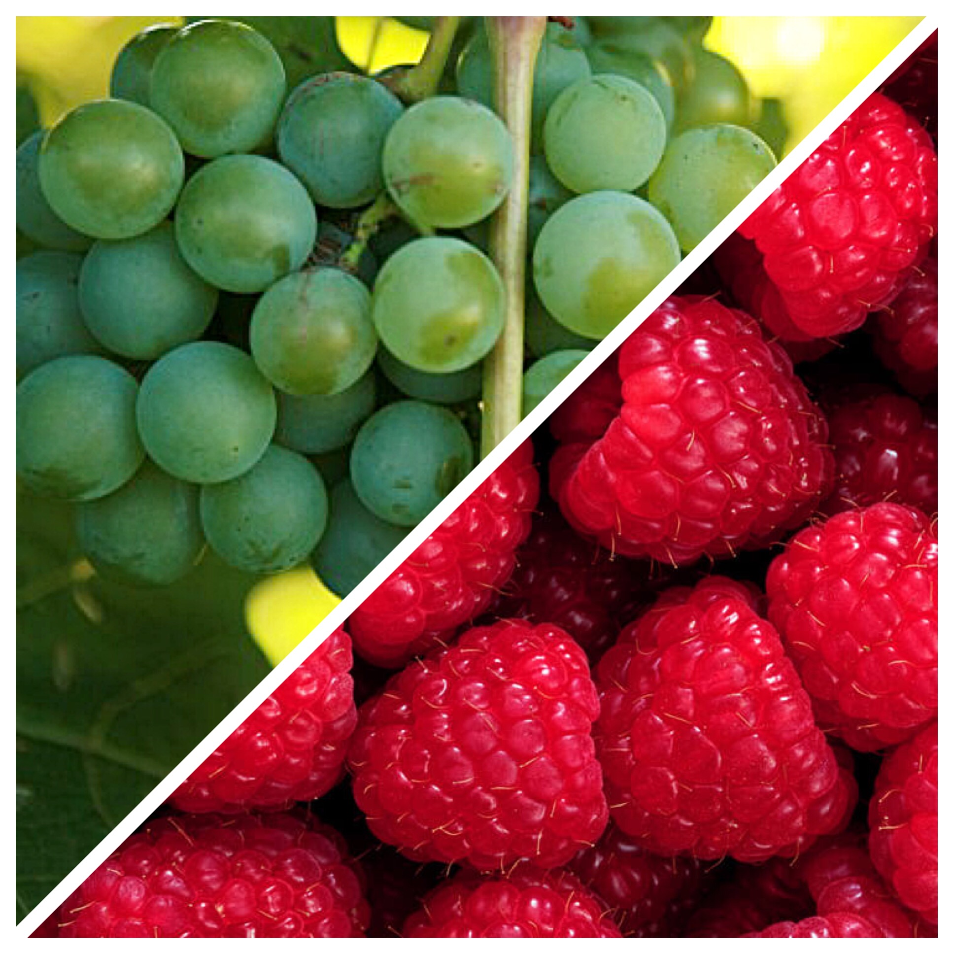 Raspberry Blush 2.6-Gallon BiB HP - Walker's Wine Juice, LLC