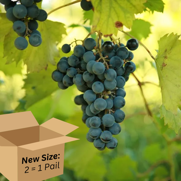 Chambourcin 2.6-Gallon BiB HP - Walker's Wine Juice, LLC