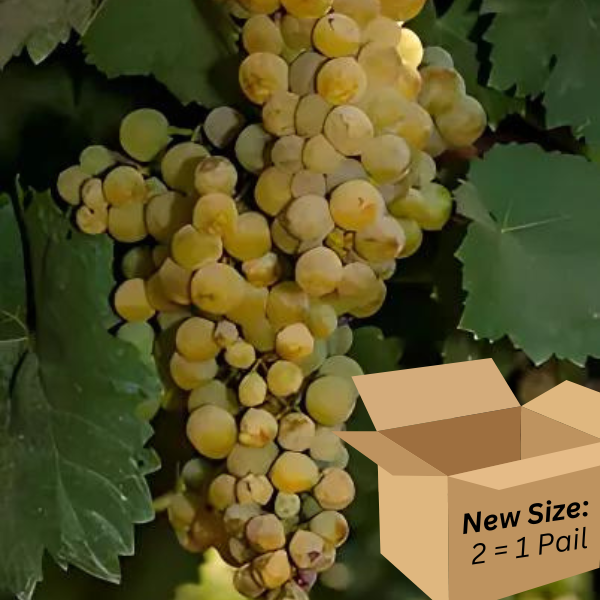 Orange Muscat 2.6-Gallon BiB HP - Walker's Wine Juice, LLC