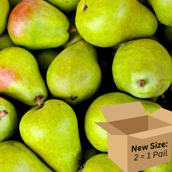 Pear 2.6-Gallon BiB HP - Walker's Wine Juice, LLC